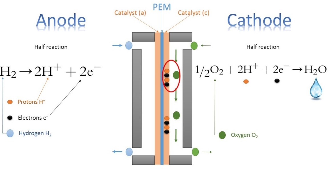 Fuel Cell and Its Importance - Ultra Nanotech