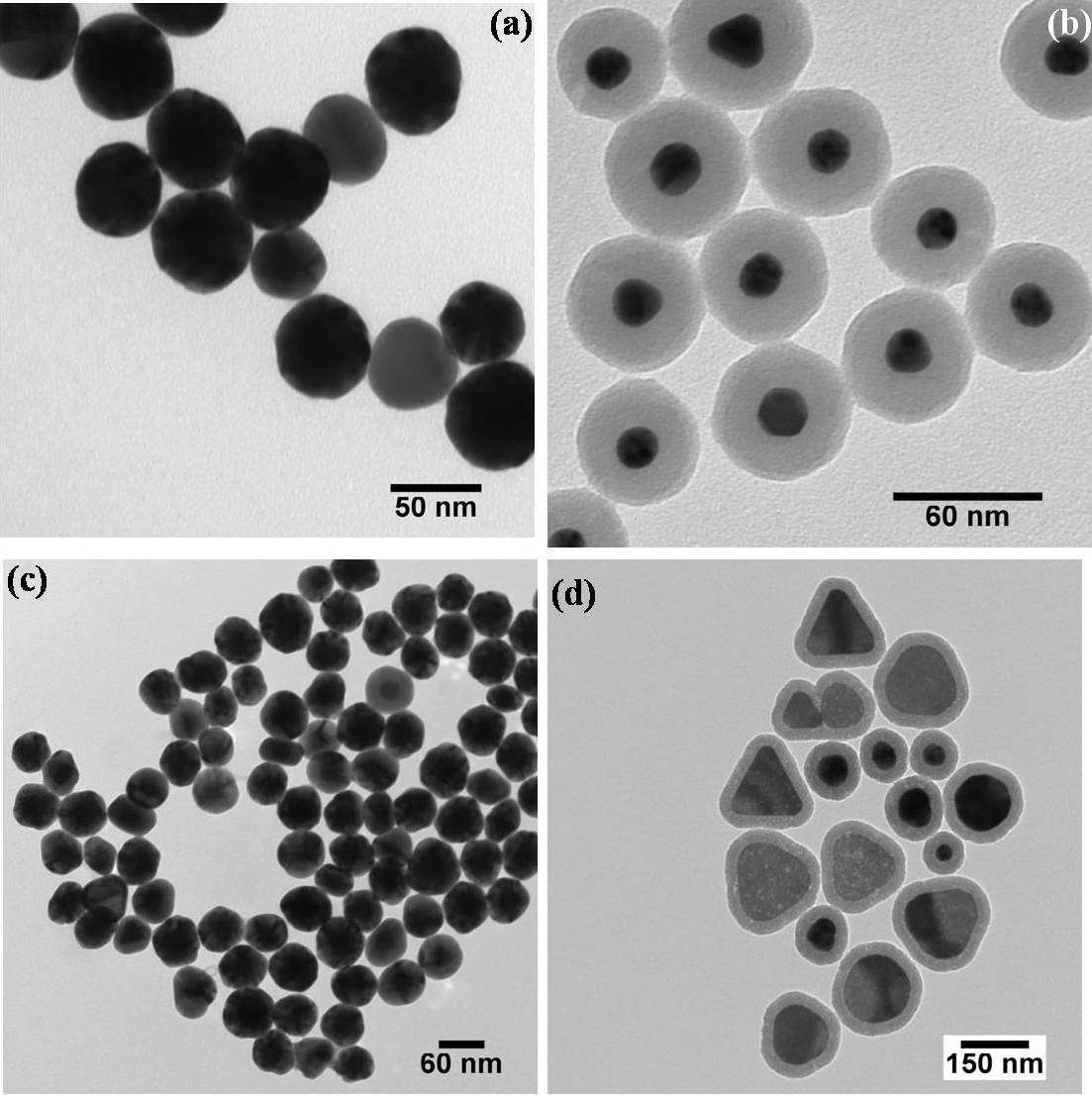 Exploring the Transformative World of Nanopowders - Ultra Nanotech